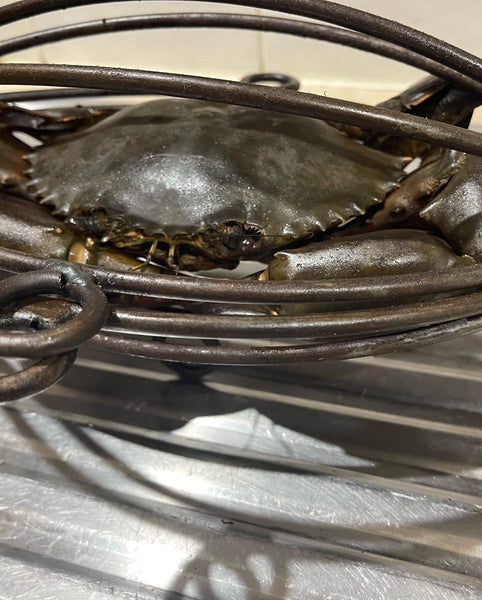 image_40efd8ce-532f-4009-a712-efb132fd8e9d_grande.jpg?v=1719003298